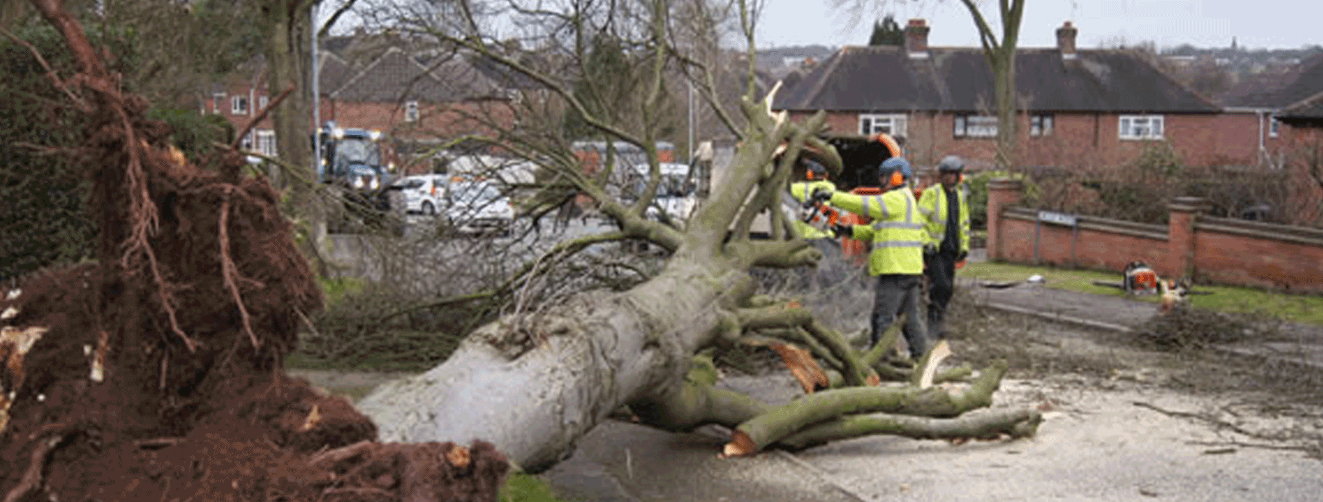Site Clearance - NJ Tree Services