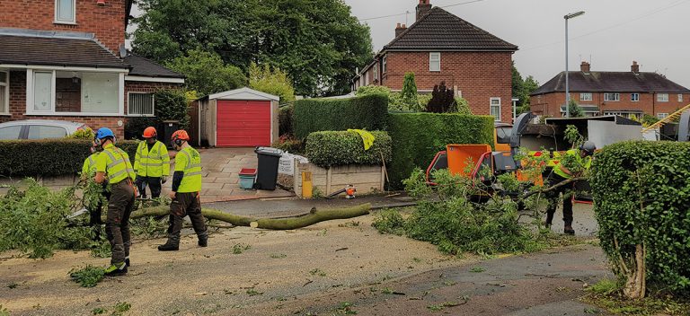 N&J Tree Services - Tree Care to BS3998 Standards